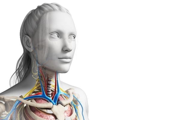 Types of Thoracic Outlet Syndrome-NeoVista® MRI shows all three types